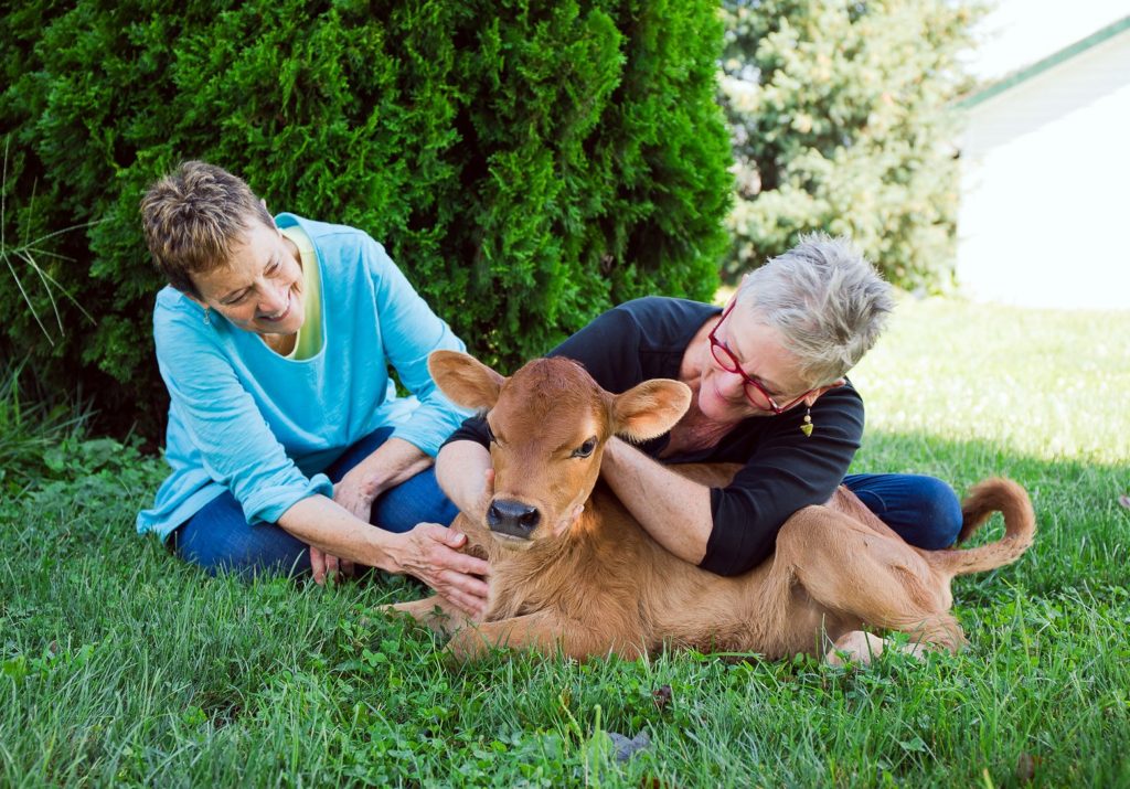 Connect - Simply Ghee